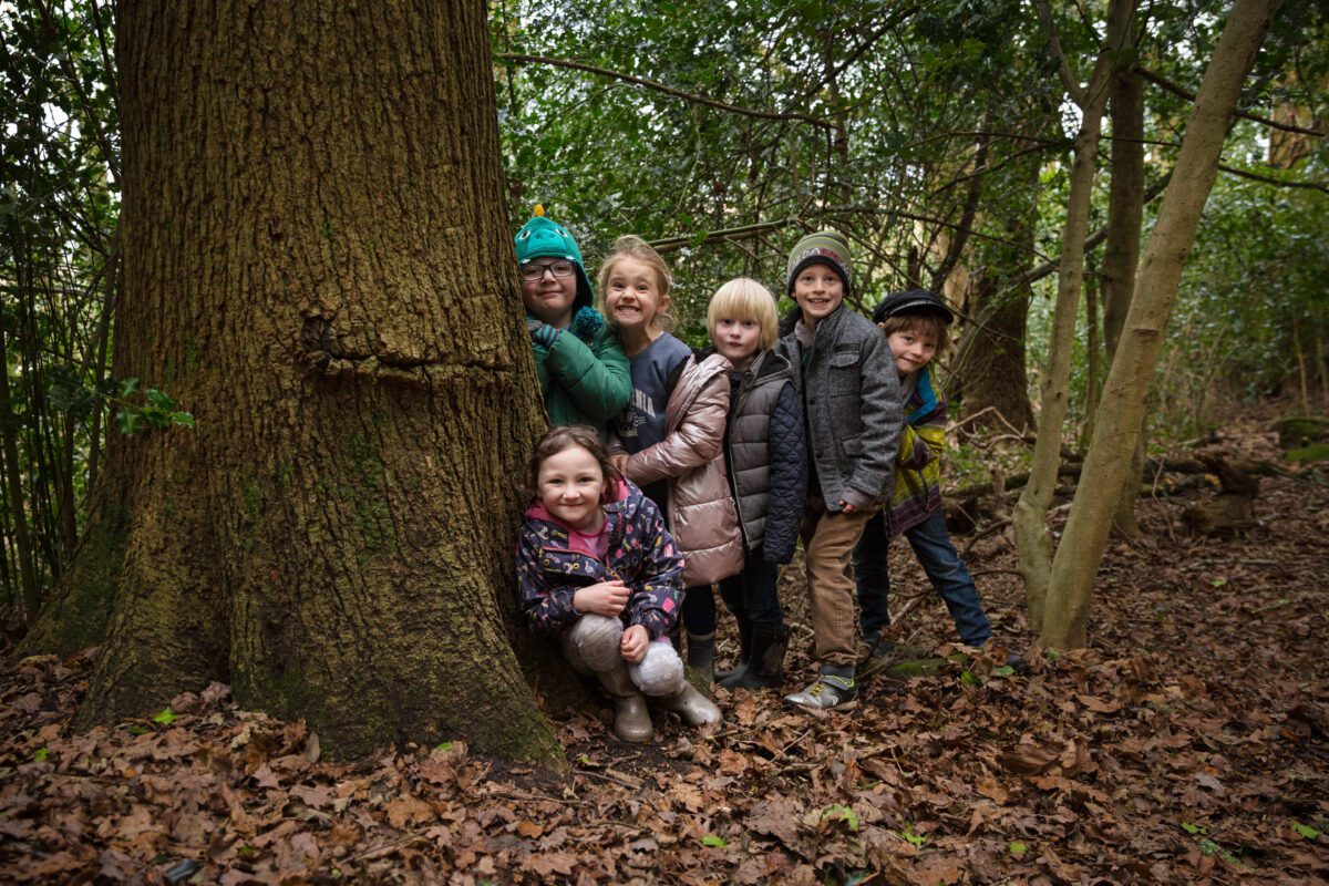 Explore - Perrygrove Railway Adventure