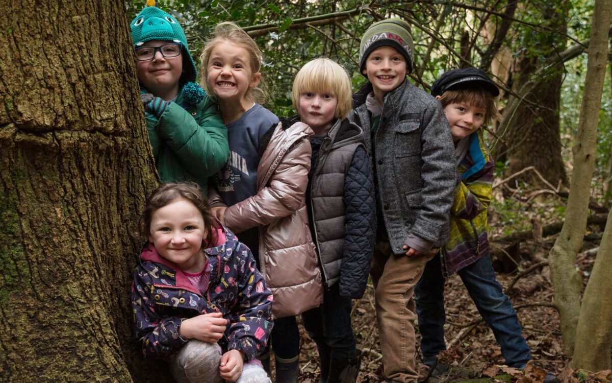 New Year Opening - Perrygrove Railway Adventure